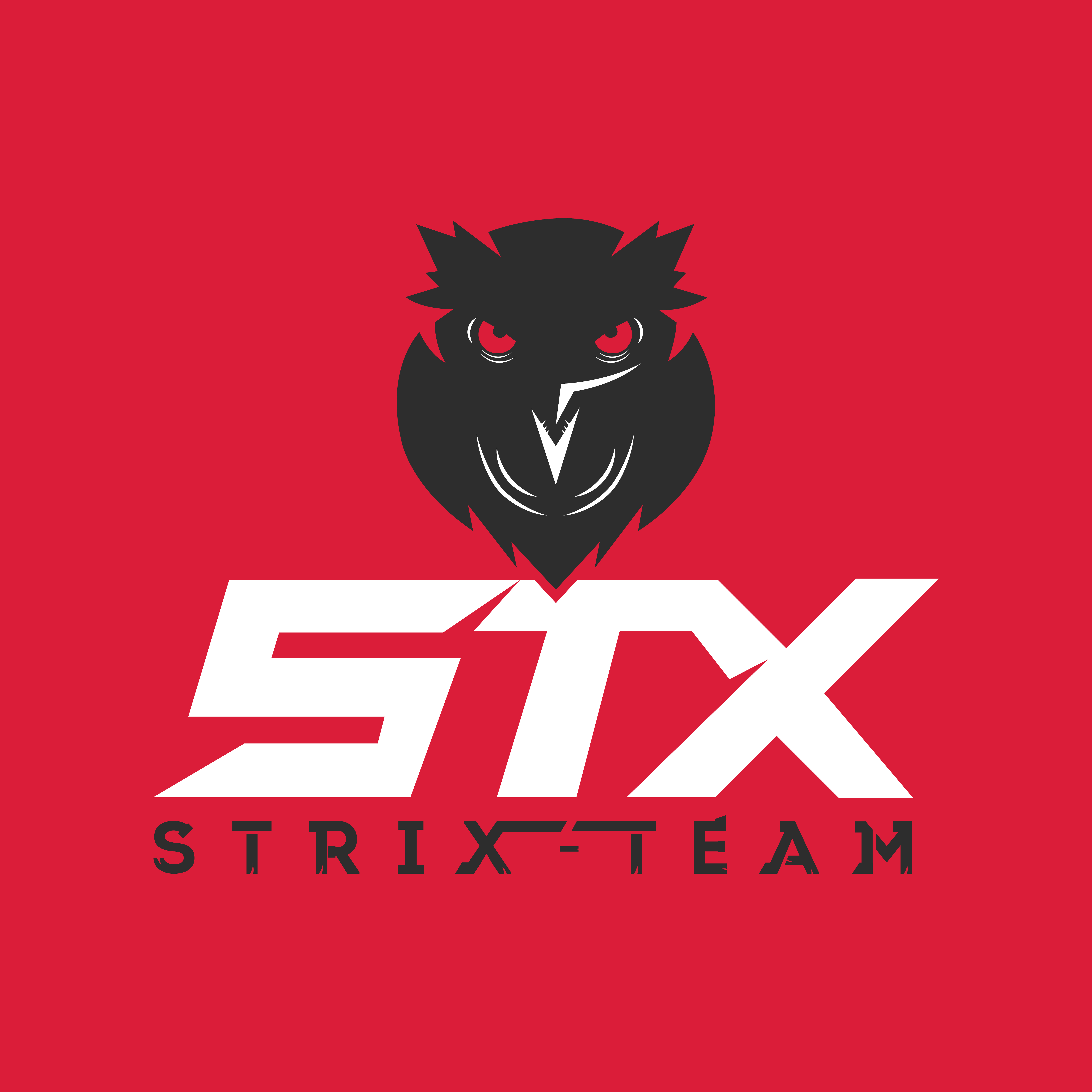STRIX TEAM - pubg.starladder.com